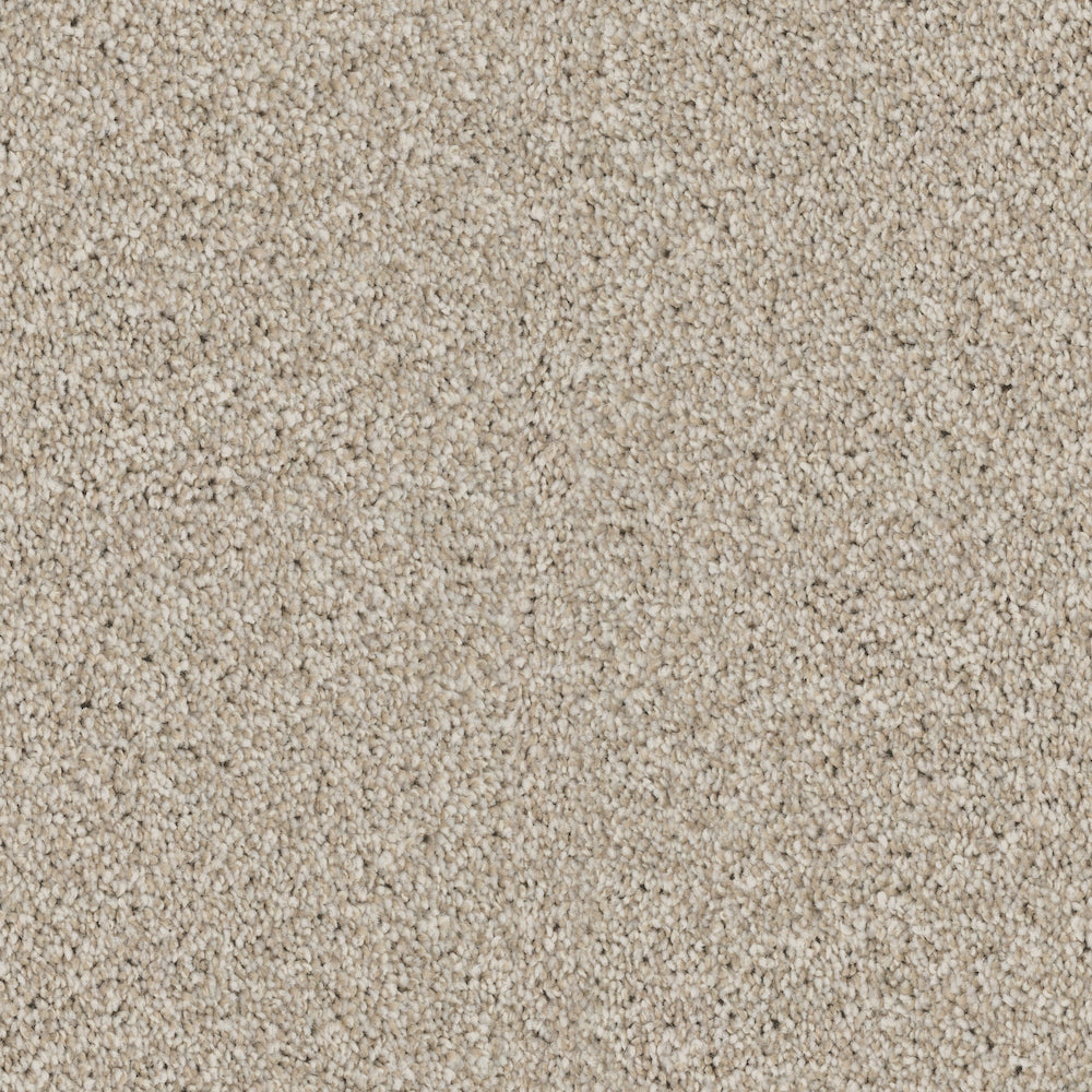 Admiration in Antique White Carpet Flooring by DH Floors