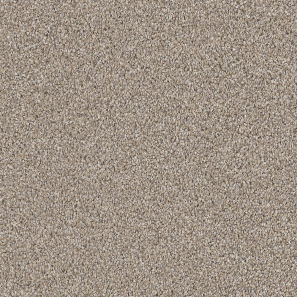 Affection in Antique White Carpet Flooring by DH Floors