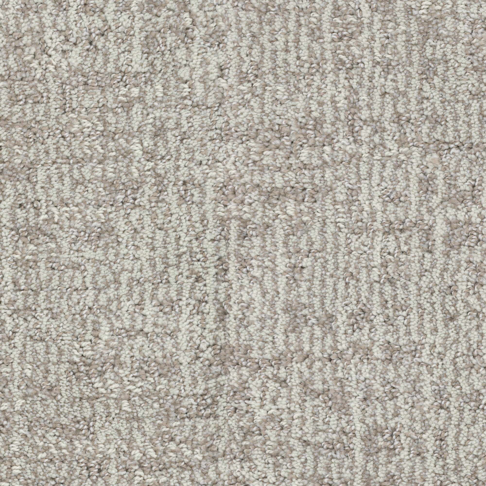 Balance D086 Carpet Flooring — DH Floors