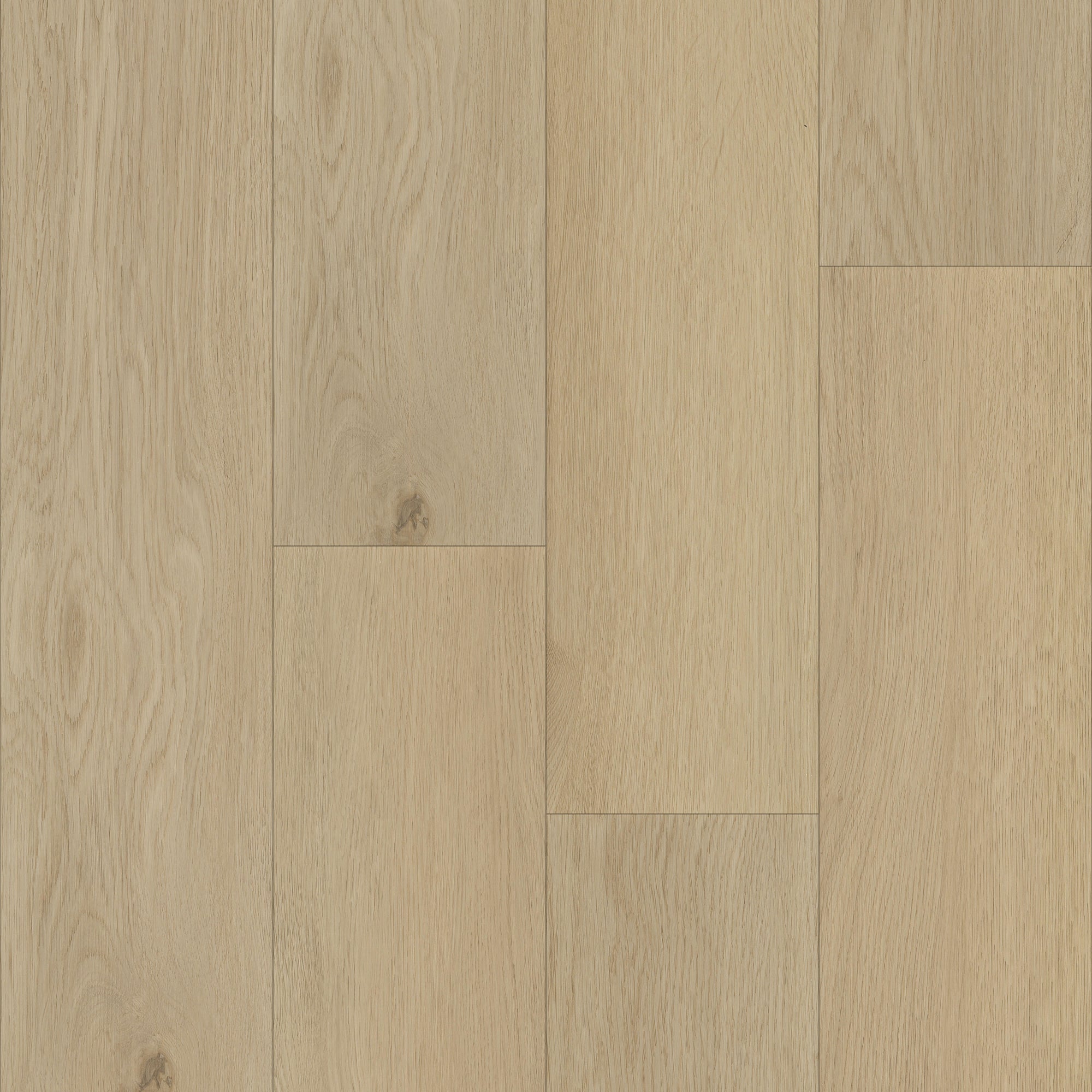 Charlie Collection — DH Floors