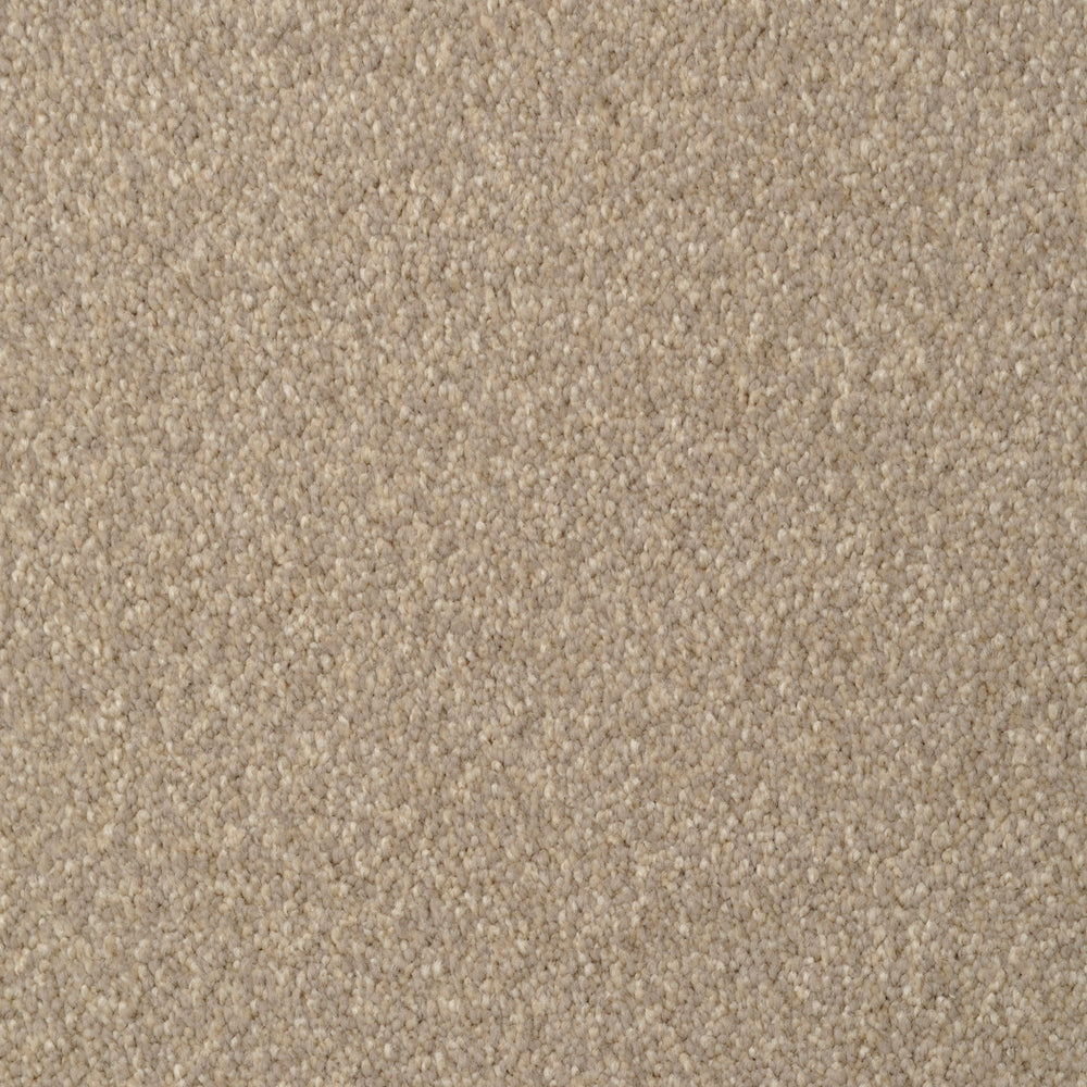 Heart's Content Carpet Flooring | Dixie Home — DH Floors