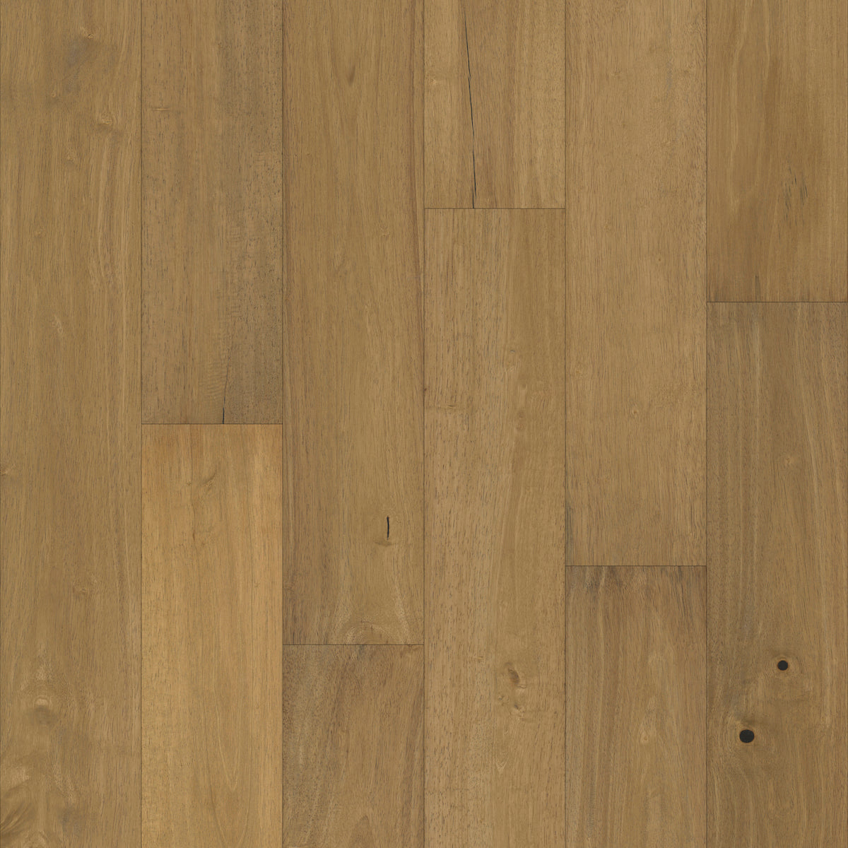 Pacific Pecan in Tabor Pecan | DH Floors