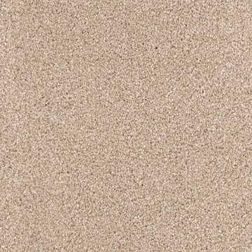 Carpet — DH Floors