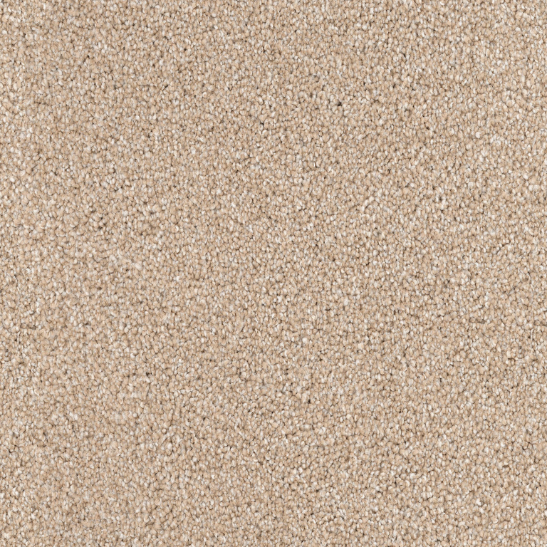 Authentic Carpet Flooring | Dixie Home — DH Floors