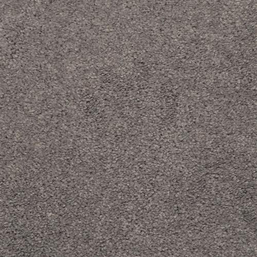 Soft Silky Carpet Flooring | Dixie Home — DH Floors