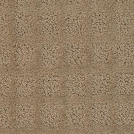 Traditions in Smoky Ash Carpet Flooring | Dixie Home — DH Floors