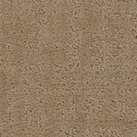 My Style Carpet Flooring | Dixie Home — DH Floors