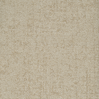 Authentic Carpet Flooring | Dixie Home — DH Floors