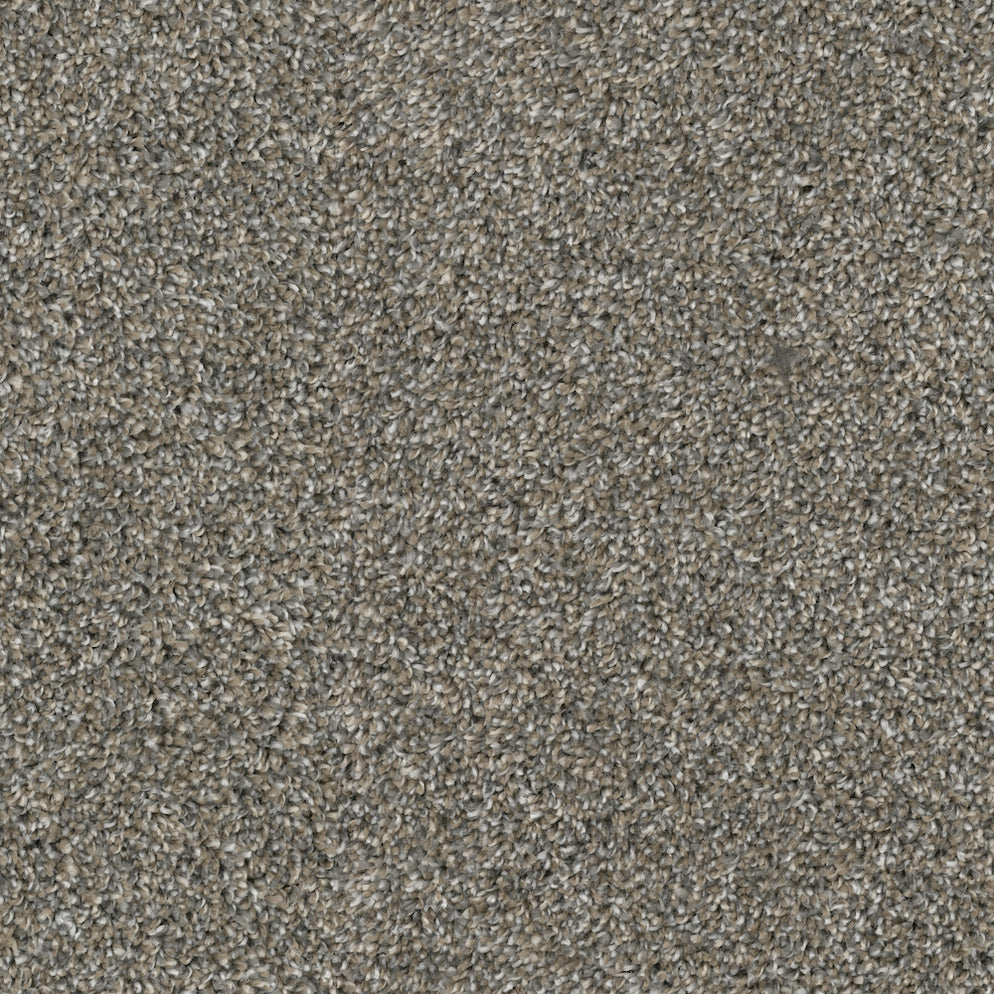 Big Idea Carpet Flooring in River Rock | Dixie Home — DH Floors