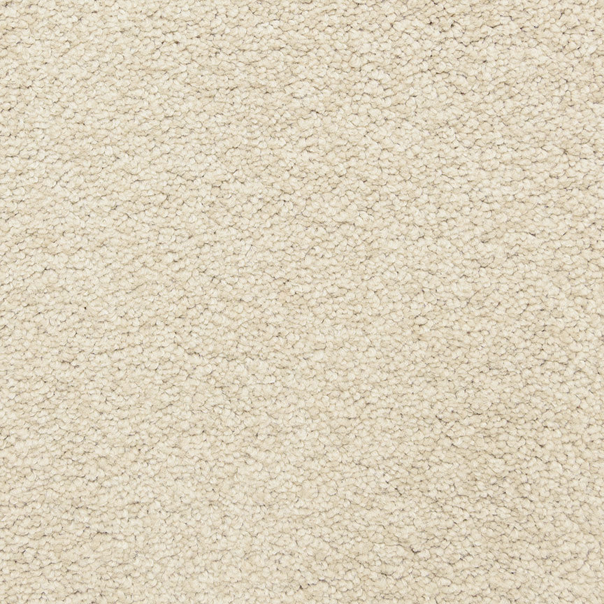 Cortana Carpet Flooring | DH Floors