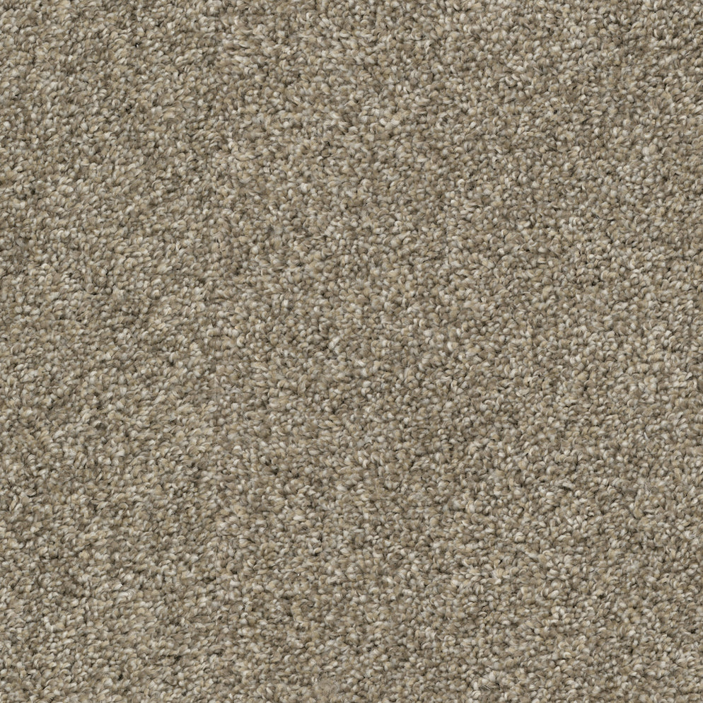 Game Plan Carpet Flooring in Quarry | Dixie Home — DH Floors