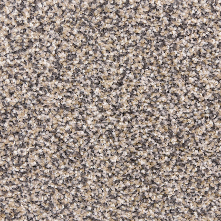 Katies Comfort Carpet Flooring | Dixie Home — DH Floors