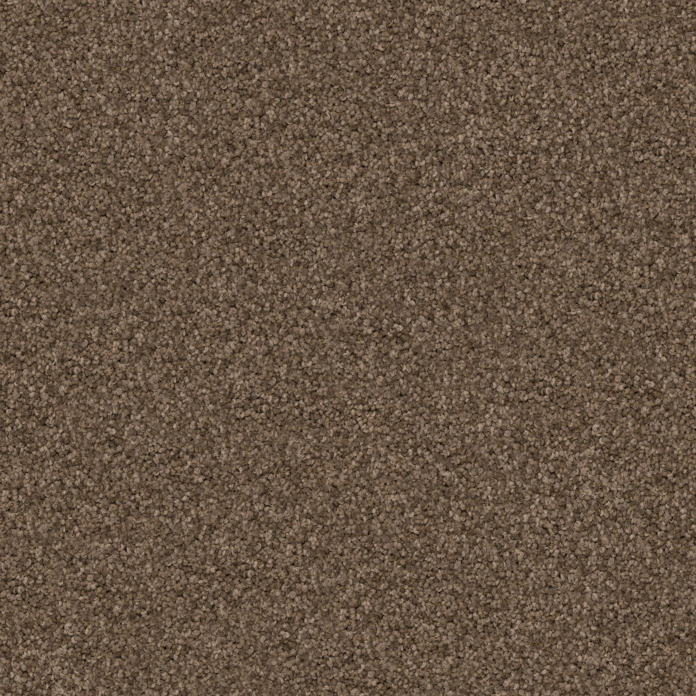 Pyrenees Carpet Flooring by Dixie Home — DH Floors