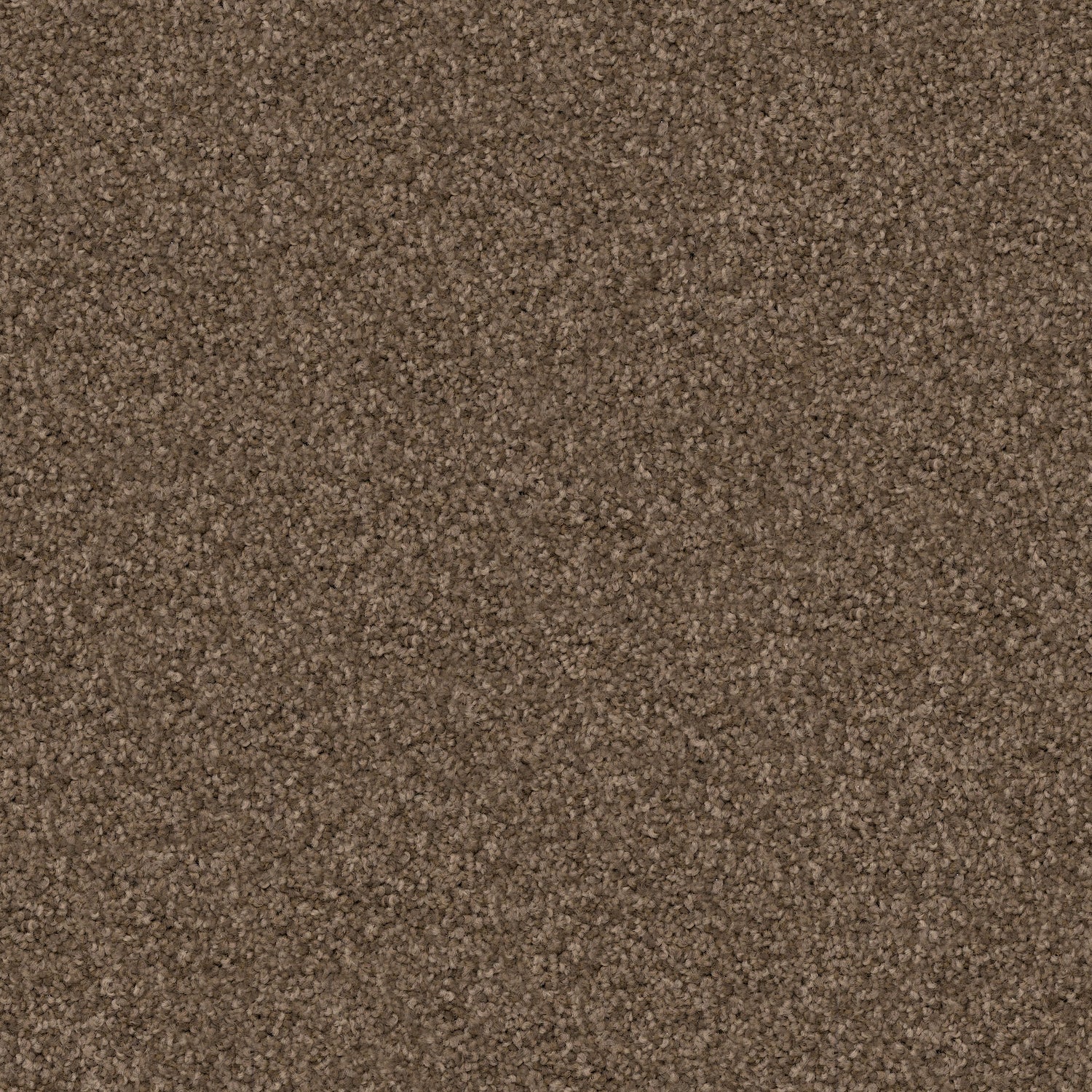 Pyrenees Carpet Flooring by Dixie Home — DH Floors