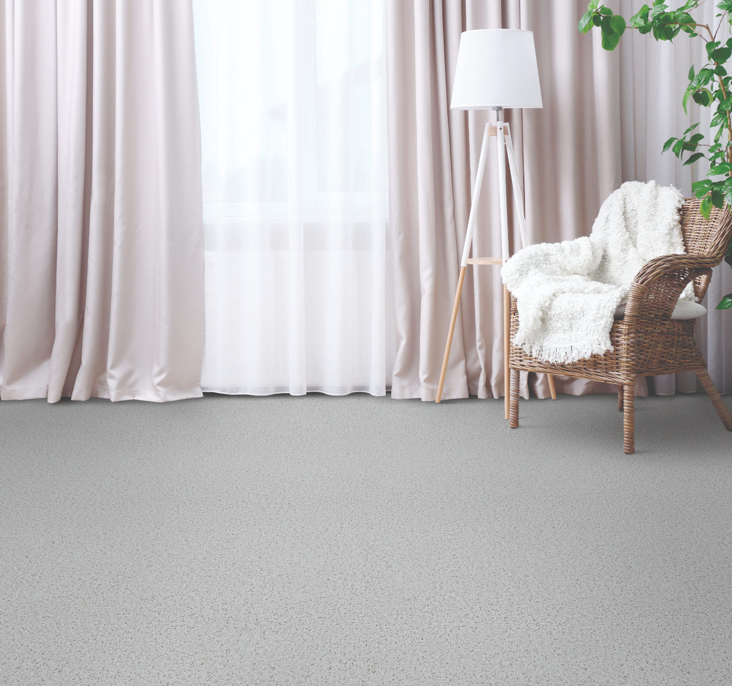 Legit Carpet Flooring | Dixie Home — DH Floors