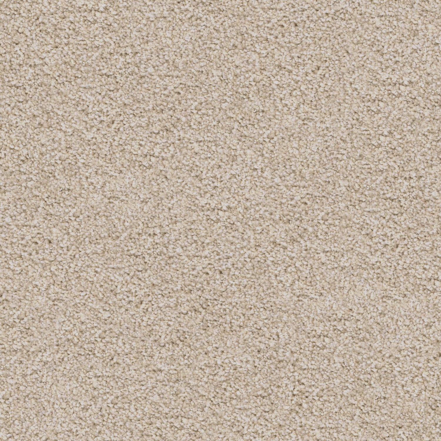 Shepherd Carpet Flooring by Dixie Home — DH Floors