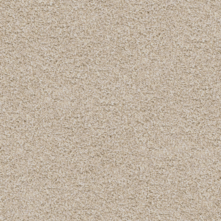 My Hero Carpet Flooring | Dixie Home — DH Floors