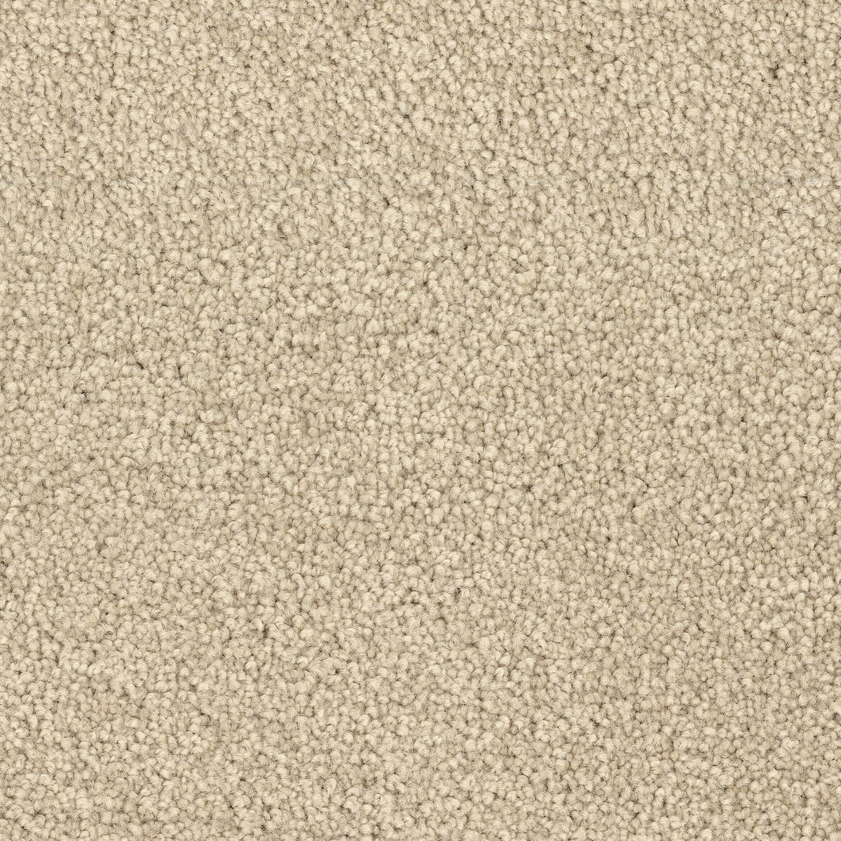 Spring Break Carpet Flooring by Dixie Home — DH Floors