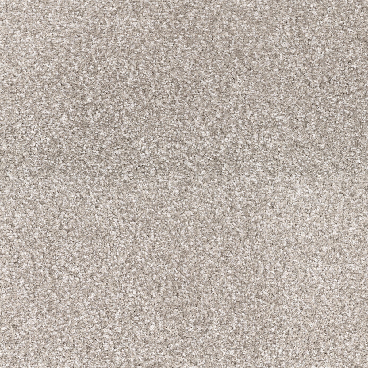 Spring Fling Carpet Flooring by Dixie Home — DH Floors