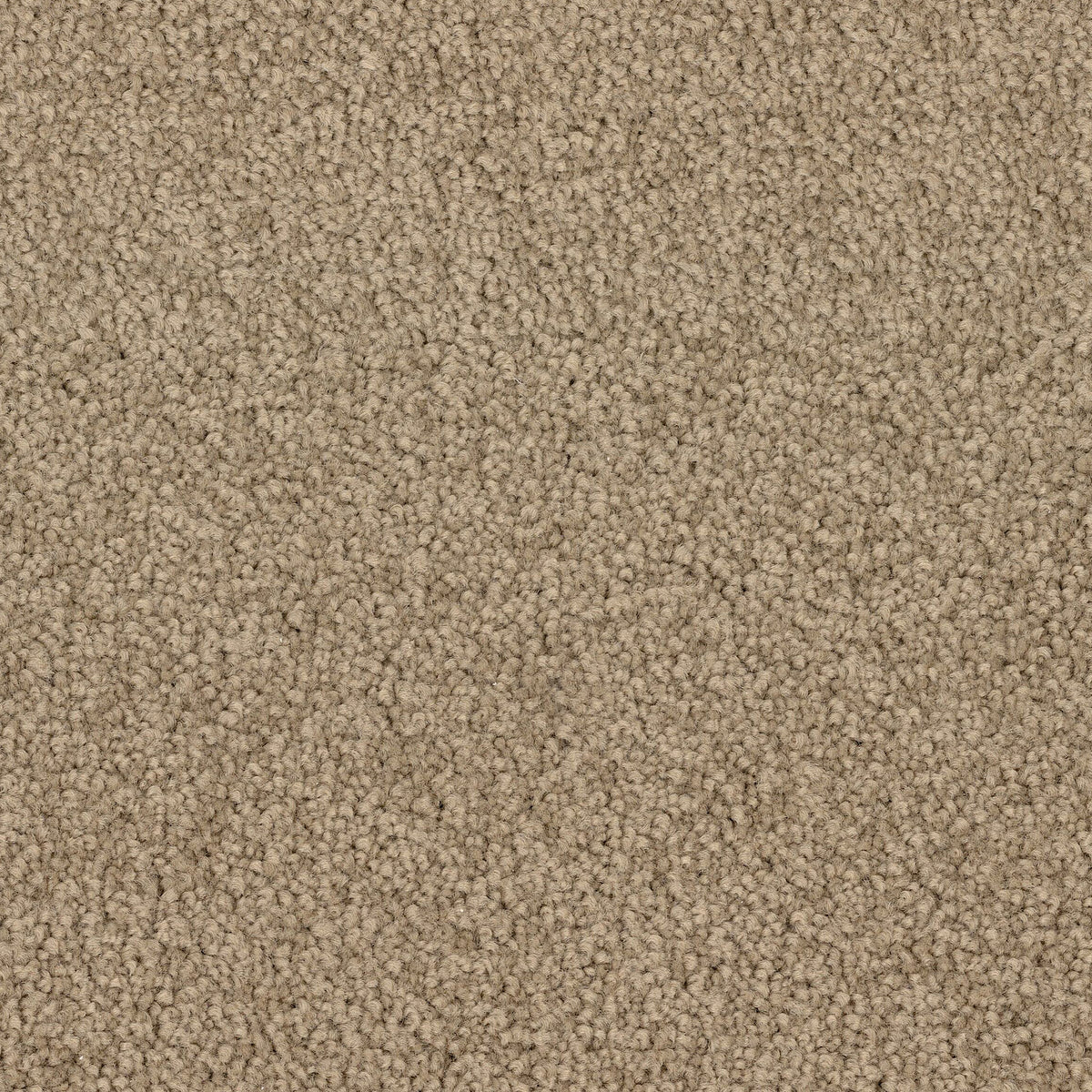 Summer Breeze Carpet Flooring by Dixie Home — DH Floors