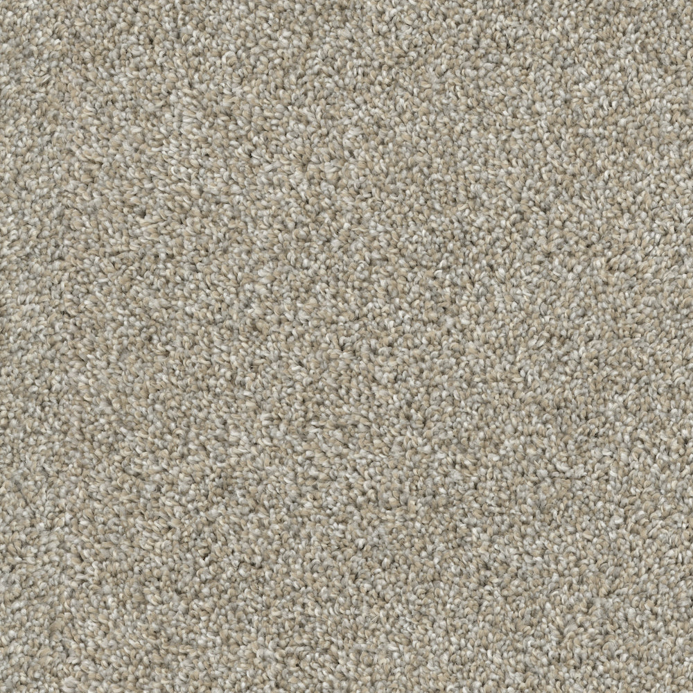 Tactics Carpet Flooring in Opal | Dixie Home — DH Floors