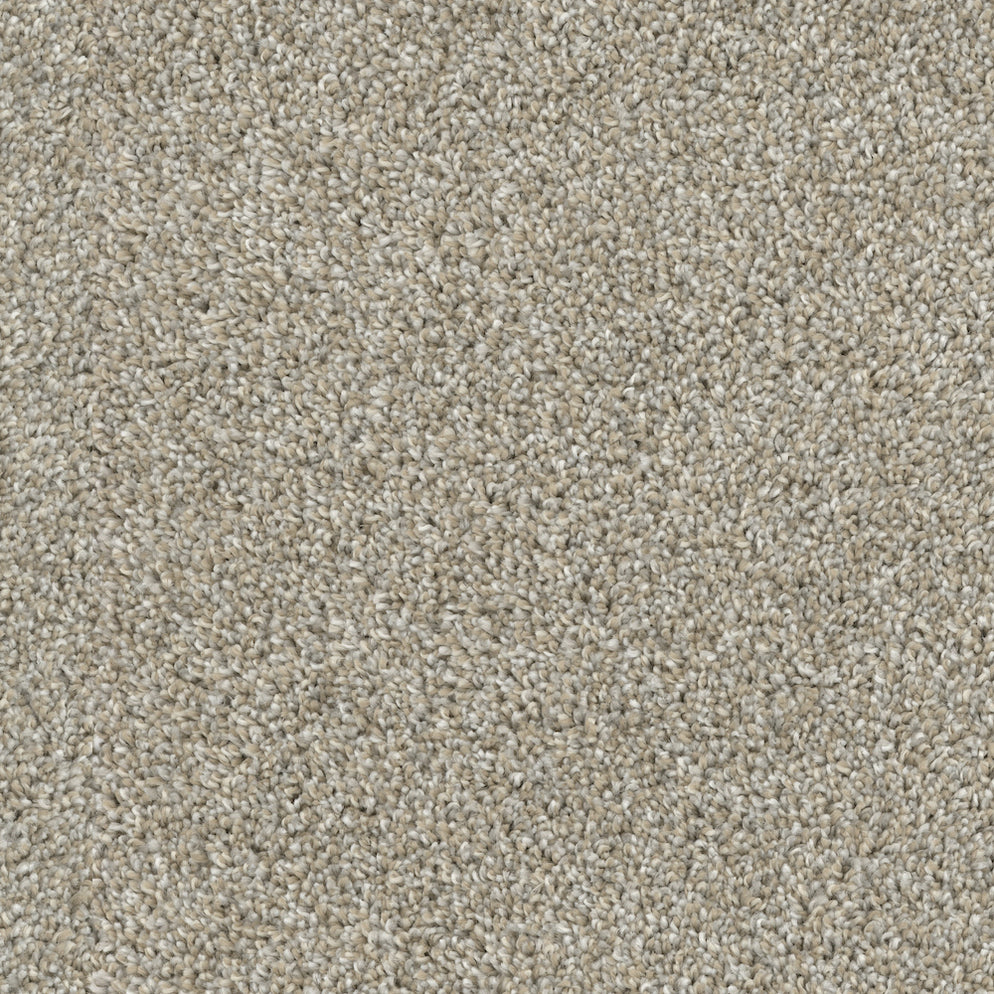Tactics Carpet Flooring in Opal | Dixie Home — DH Floors