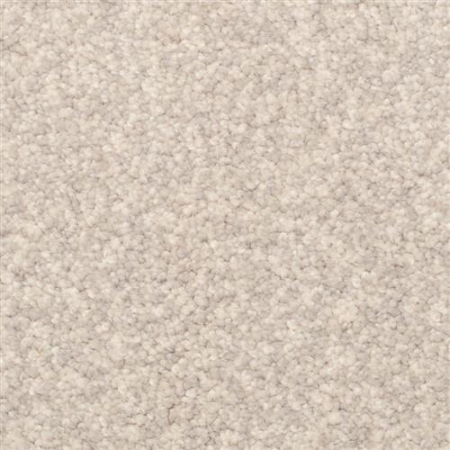 Cozy Carpet Flooring | Dixie Home — DH Floors