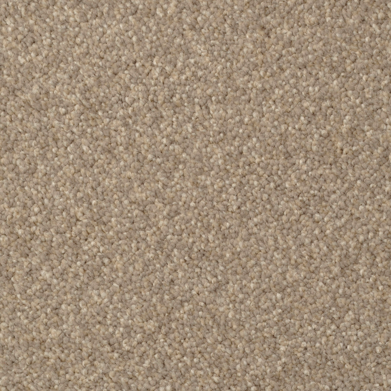 Heart's Content Carpet Flooring | Dixie Home — DH Floors